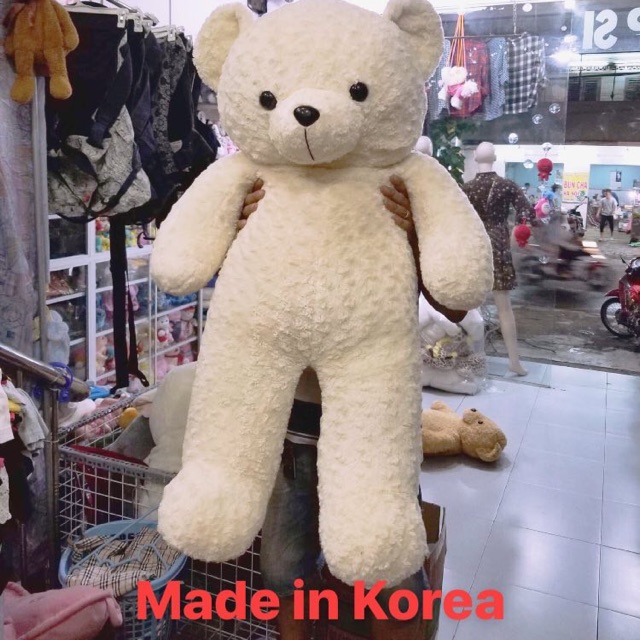 Gấu Teddy Korea | Shopee Việt Nam