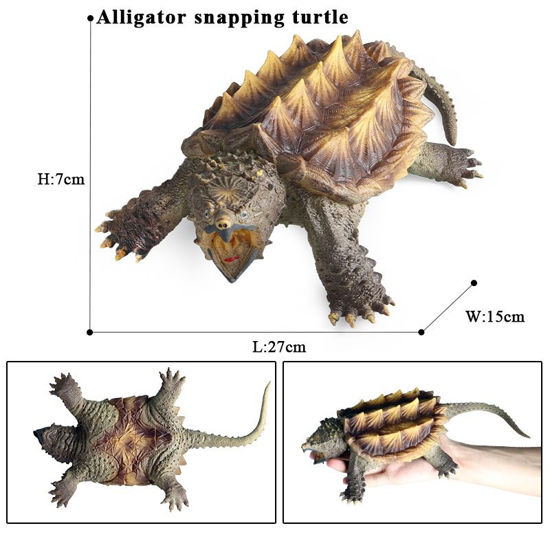 đồ chơi mô hình rùa cá sấu (gai mềm) | Shopee Việt Nam