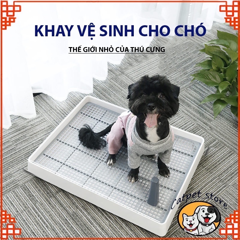 Khay vệ sinh cho chó mèo, khay huấn luyện chó đi vệ sinh đúng chỗ ...
