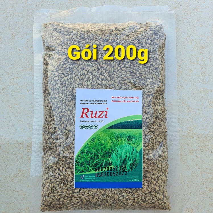 Giống Cỏ Ruzi Grass (Gói 200g) - Giống Cỏ Chăn Nuôi Trồng Chăn Thả ...