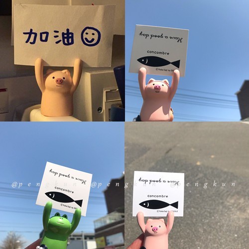 Giấy note Ghi Chú Hình Động Vật Heo Ếch Heo Trái Tim Bằng Gốm Nhật Bản ...