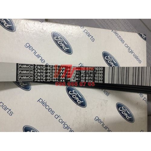 Dây Curoa Tổng Ford Fiesta Chính Hãng CN1Q6C301AA | Shopee Việt Nam