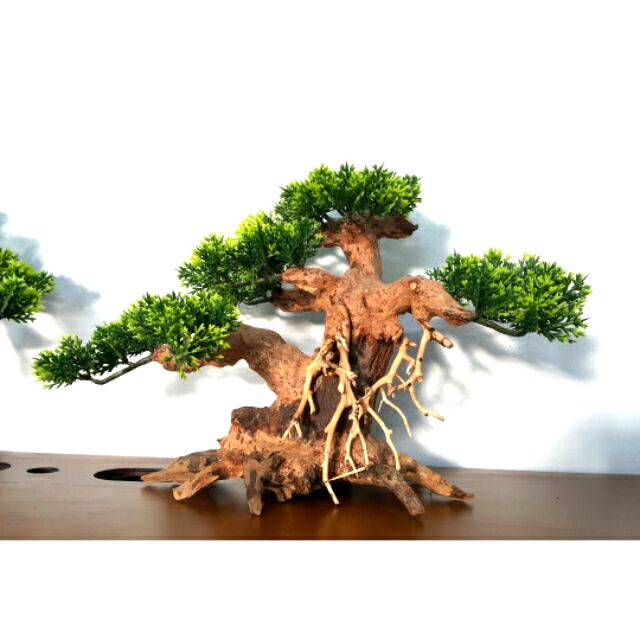 Lũa Bonsai trang trí hồ cá.( Ngan 25 , Cao 20cm ) | Shopee Việt Nam