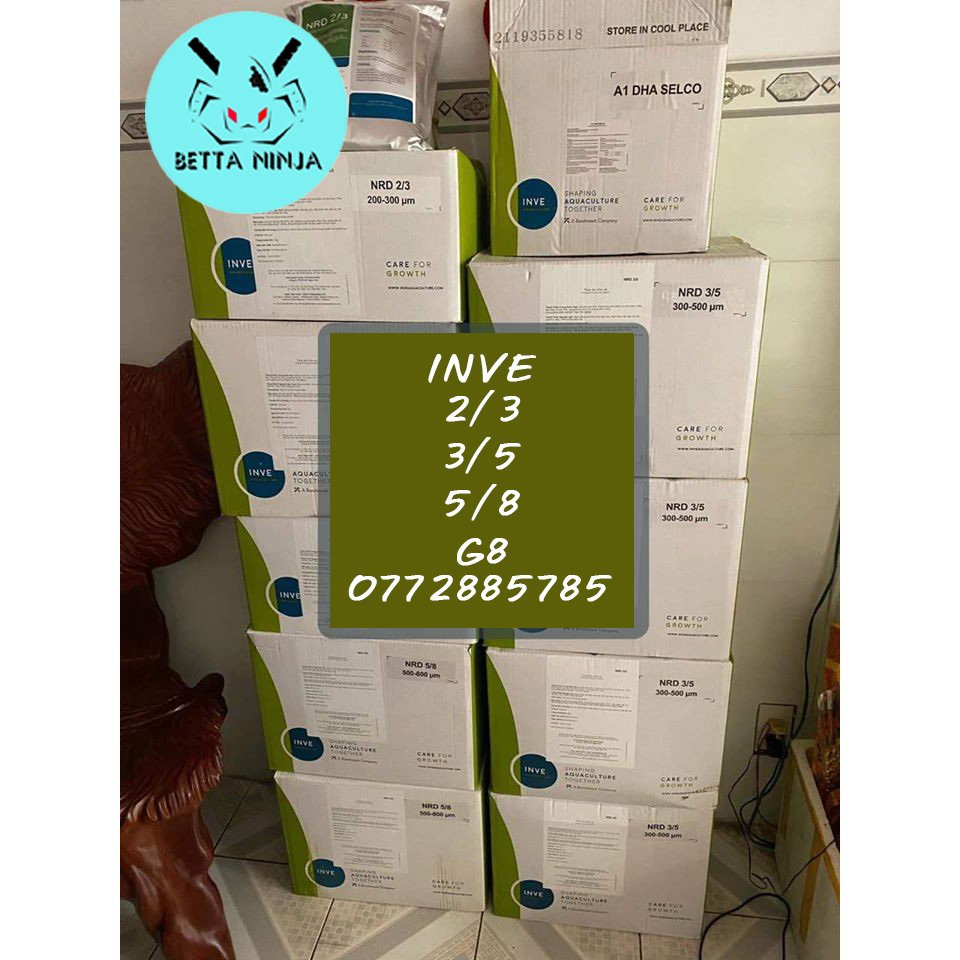 Cám Thái INVE 3/5 5/8 p10 | 500g 1kg ] | Shopee Việt Nam