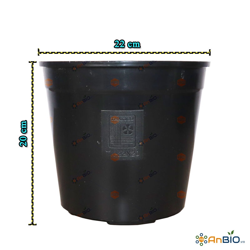 BLOCK 5 CÁI CHẬU NHỰA TRỒNG LAN KIẾM (ĐỊA LAN) ĐƯỜNG KÍNH 22CM - K2B ...