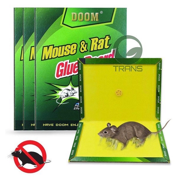 Keo Dính Chuột Mouse & Rat Glue Traps - Siêu Dính | Shopee Việt Nam