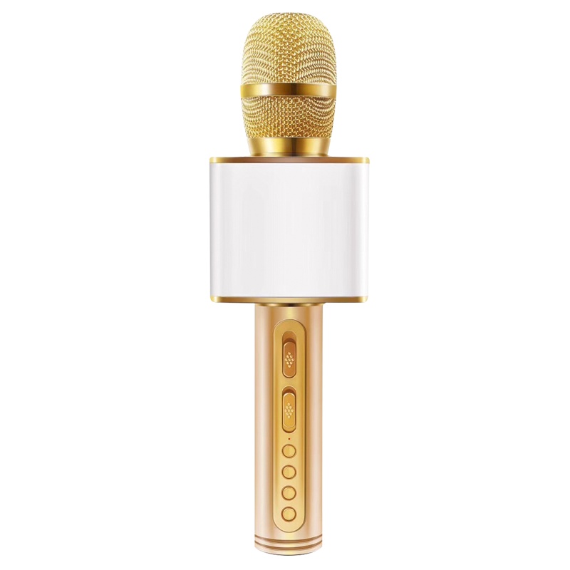Micro karaoke không dây bluetooth kiêm loa nghe nhạc 3 trong 1 PF391 Gold - Hàng Chính Hãng ...