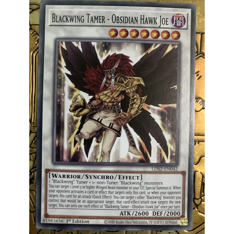 bài yugioh:blackwing tamer-obsidian hawk joe | Shopee Việt Nam