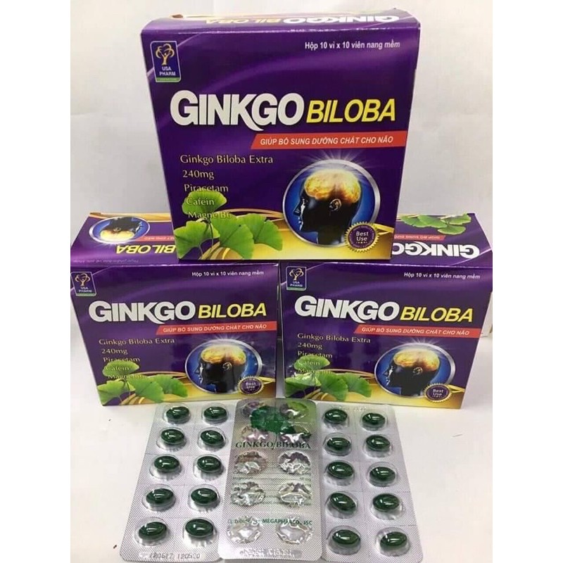 Gikgo billoba 240mg bổ não giúp lưu thông máu ,hộp 100 viên | Shopee ...