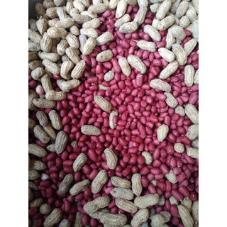 Hạt lạc đỏ Thái Bình, đỗ lạc, đậu phộng thơm ngon gói 1kg | Shopee Việt Nam