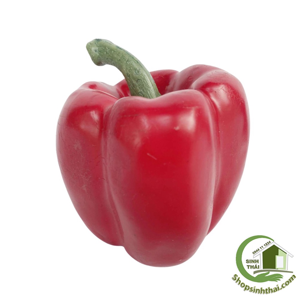 Trái ớt chuông đỏ - quả ớt đà lạt - Trái cây rau củ quả giả cao cấp ...