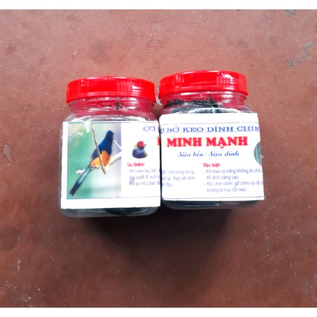 Keo dính chim siêu siêu dính | Shopee Việt Nam