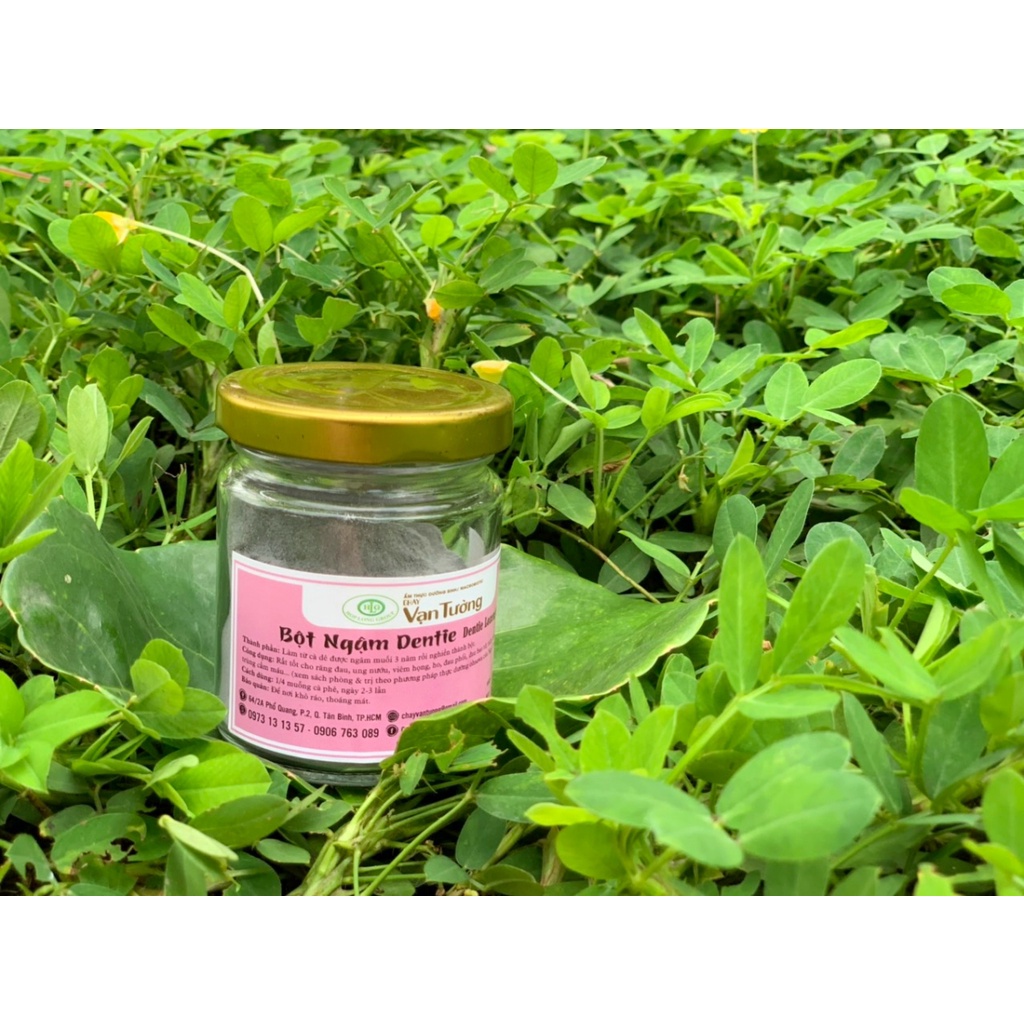 BỘT NGẬM DENTIE 50G | Shopee Việt Nam