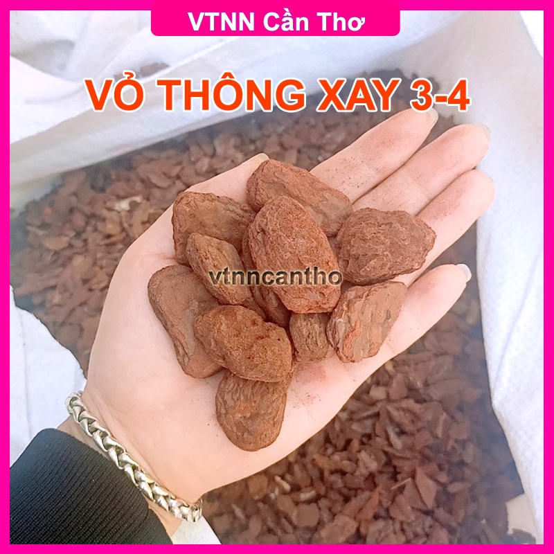 1kg Vỏ Thông Đỏ Xay Tròn Cạnh Trồng Lan (Size 3-4cm, Đã Xử Lý) - VTNN Cần Thơ | Shopee Việt Nam