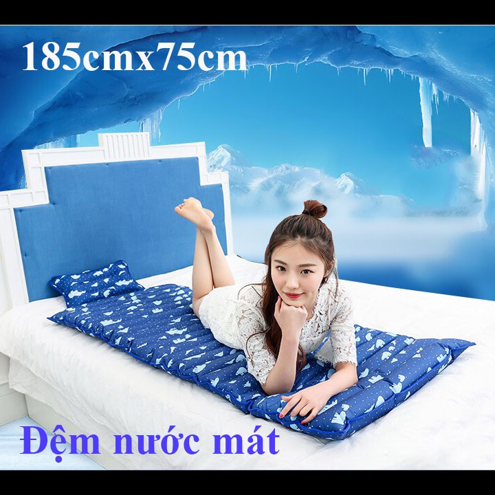 Đệm Nước Mát Gia Đình Dài 180CM x 75CM BT21 | Shopee Việt Nam