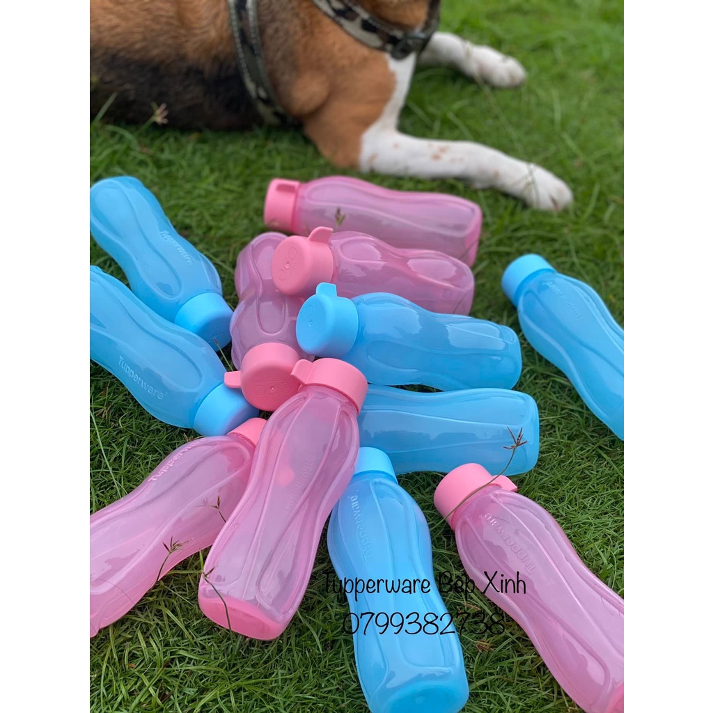 Bình nước Eco Bottle 300ml | Shopee Việt Nam