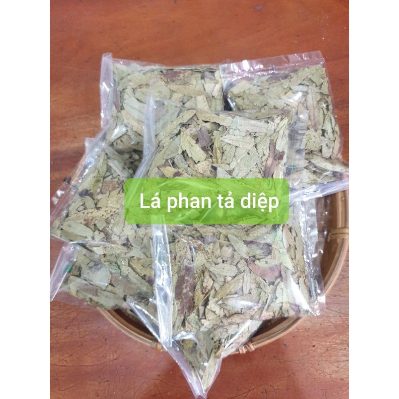 COMBO 10 GÓI LÁ PHAN TẢ DIỆP# HSD 12 THÁNG | Shopee Việt Nam