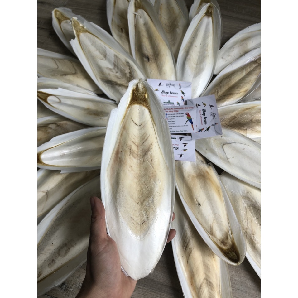 1kg Nan mực dùng cho vẹt , yến , các dòng chim finch,... | Shopee Việt Nam