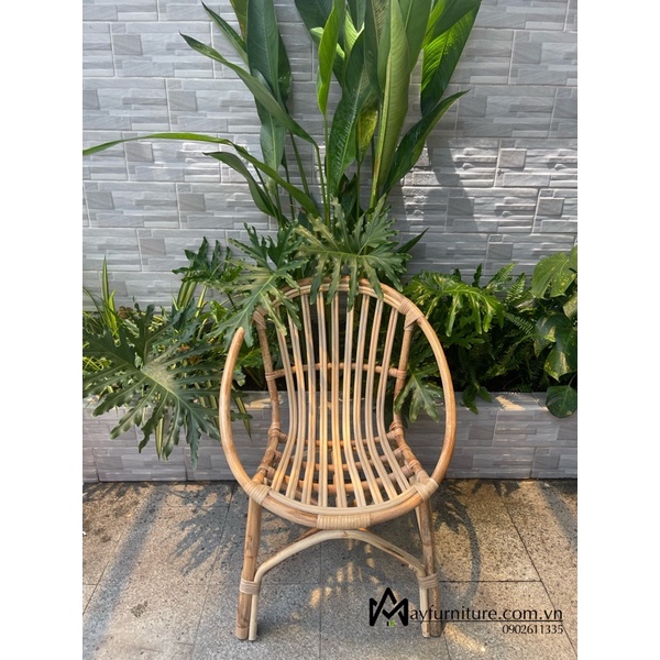 Ghế mây con sò | Shopee Việt Nam
