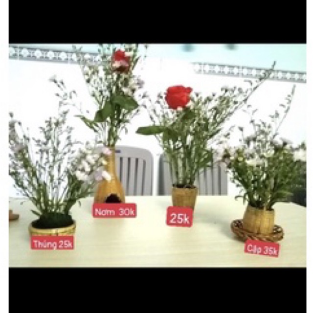 Lọ hoa tre mini | Shopee Việt Nam