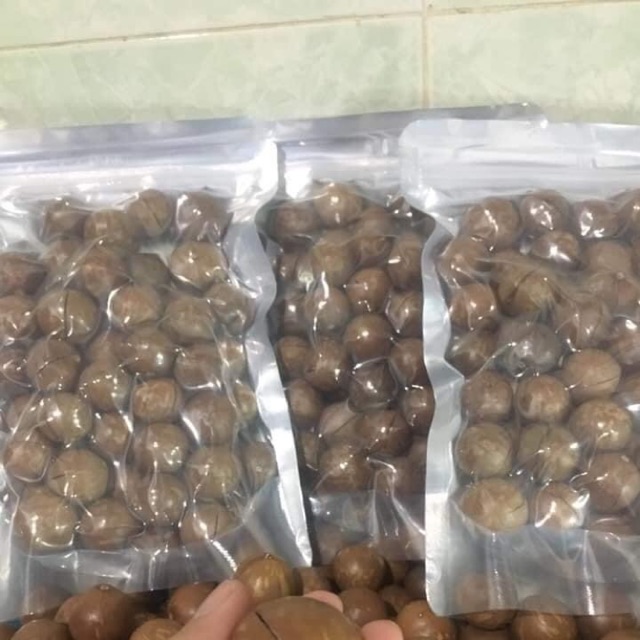 Hạt macca 1kg kèm dụng cụ tách vỏ | Shopee Việt Nam