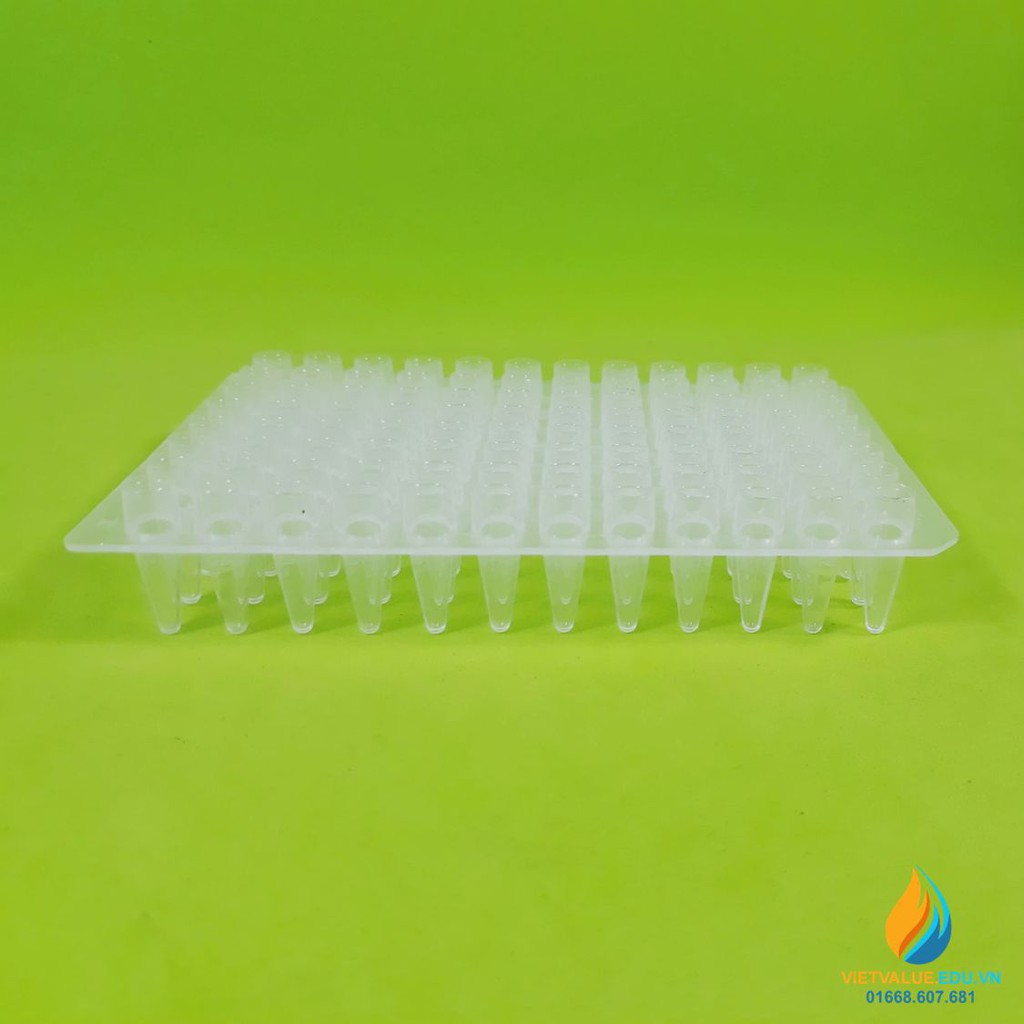 Đĩa PCR, 0,2ml, 96 lỗ, nhựa PP, đường kính lỗ 6mm. | Shopee Việt Nam