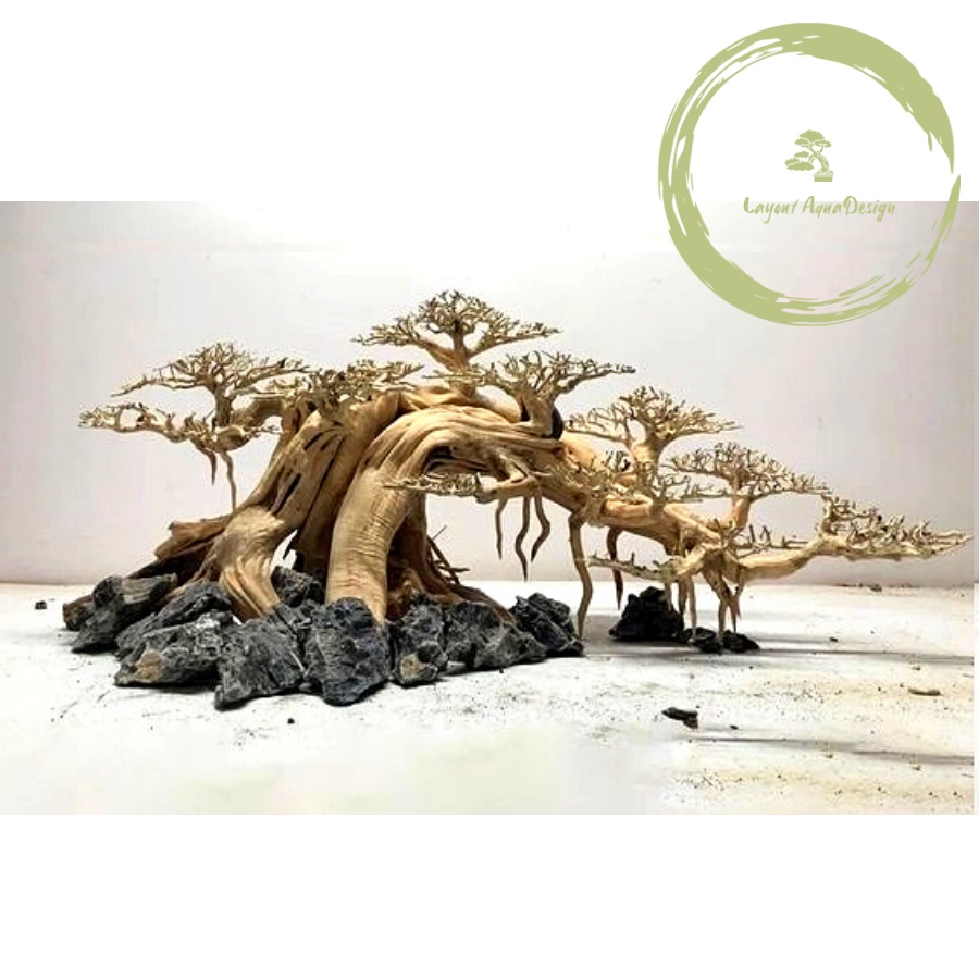 Lũa Bonsai, Layout Bonsai Mini Setup Trang Trí Bể Thủy Sinh, Bể Cá Cảnh ...