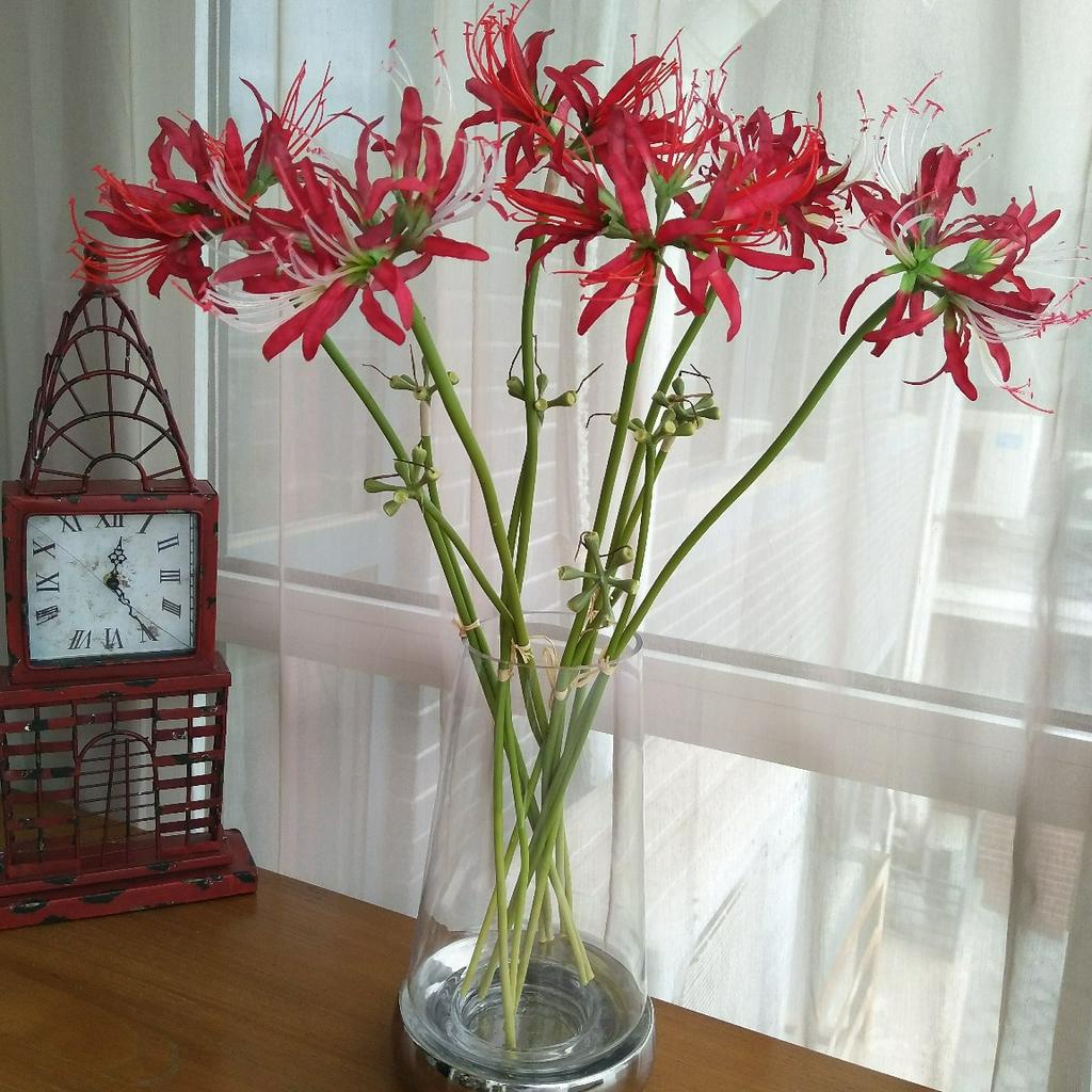 Bianhua manzhu shahua hoa giả trang trí phòng khách gia đình đạo cụ ... Bianhua manzhu shahua hoa giả trang trí phòng khách gia đình đạo cụ ...