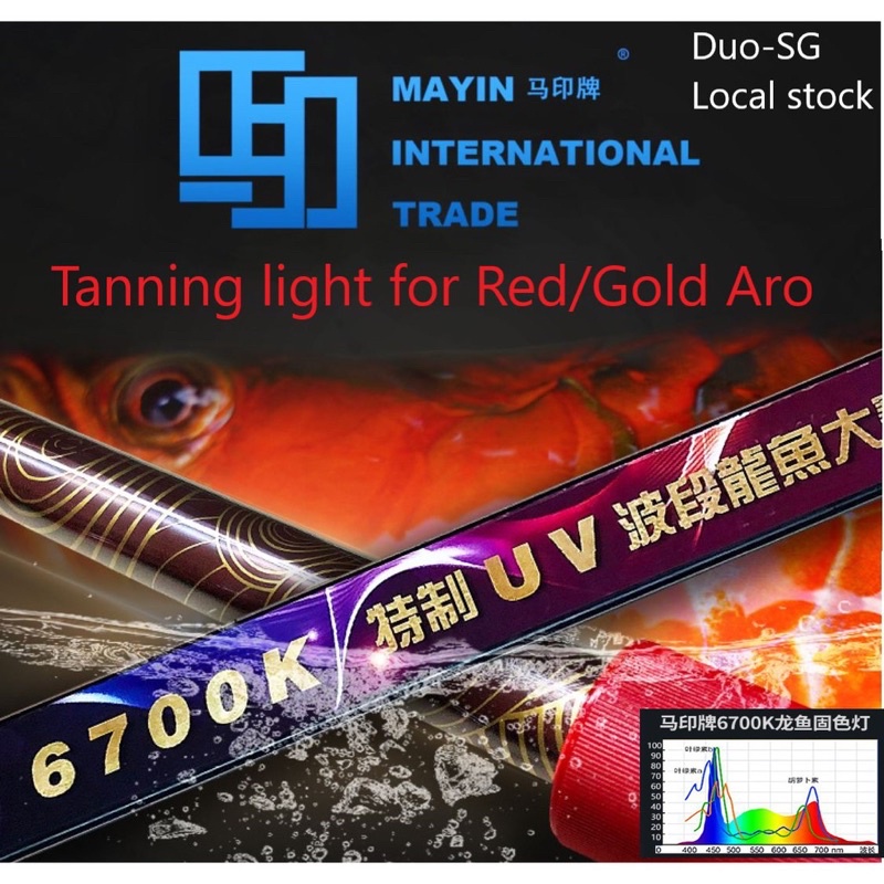 Đèn led MAYIN Super Colour, super colour plus chuyên dụng cho huyết ...