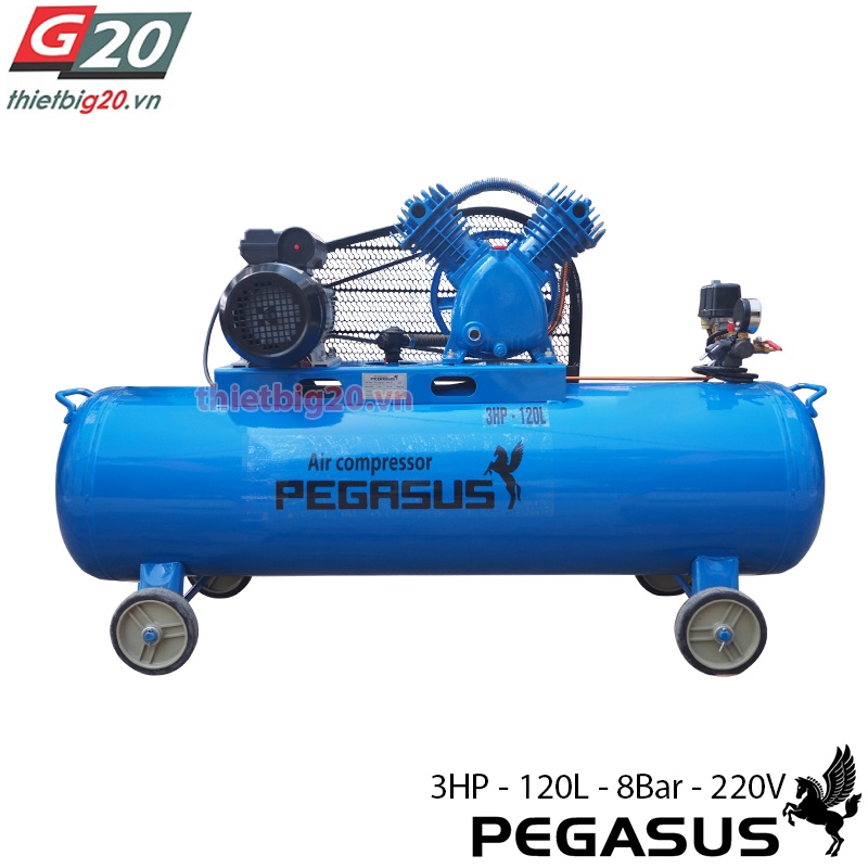 MÁY NÉN KHÍ 1 CẤP PEGASUS TM-V-0.25/8-120L - 3HP, 120L, 8 BAR (220V) | Shopee Việt Nam