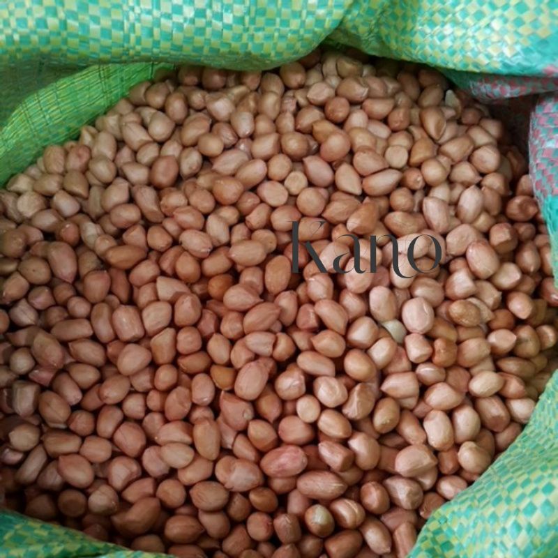 Đậu phộng sống ( hạt lạc sống) 500gr / đậu xanh / đậu đen xanh lòng ...