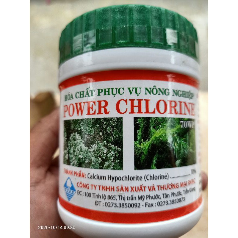 Các loại thuốc tẩy rong rêu và cách sử dụng hiệu quả