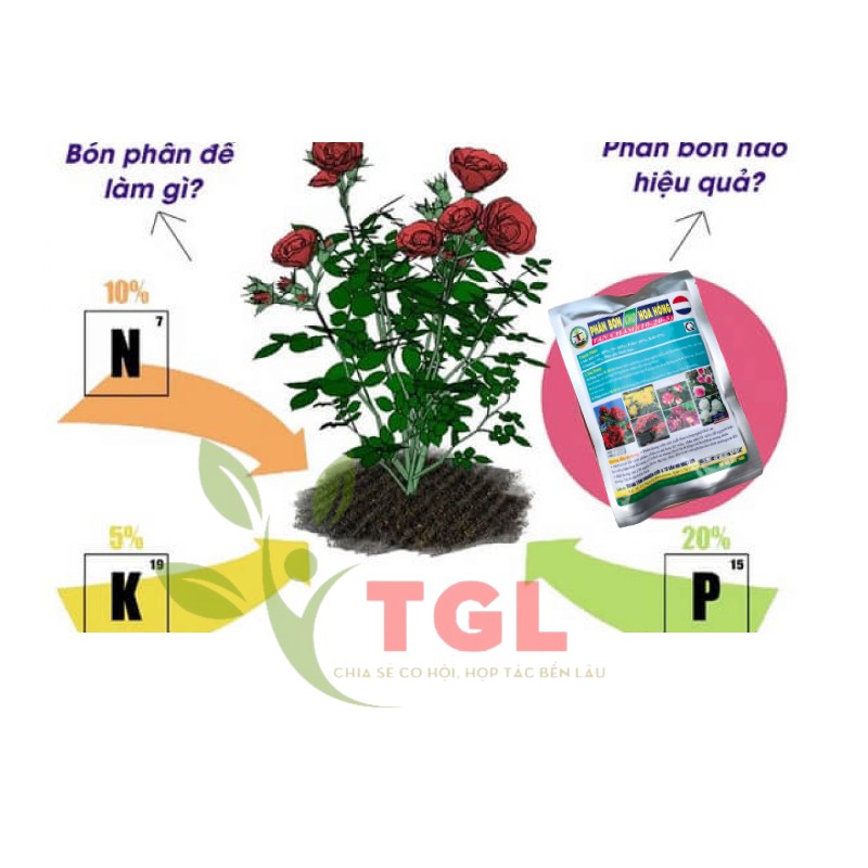 Phân bón, phân bón cho hoa hồng, phân bón gốc, phân bón tan chậm NPK 10 ...