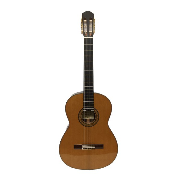 Guitar Classic Takamine No.5 | Shopee Việt Nam