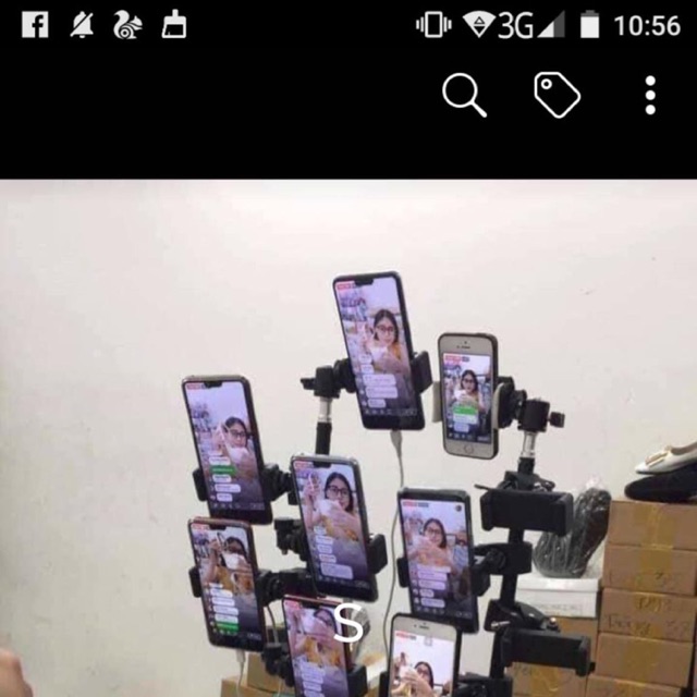 Cây live tresn sỷ | Shopee Việt Nam