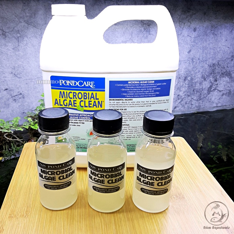 API - Microbial Algae Clean [100mL] | Vi Sinh Độc Đáo Phân Huỷ Mùn Bã ...