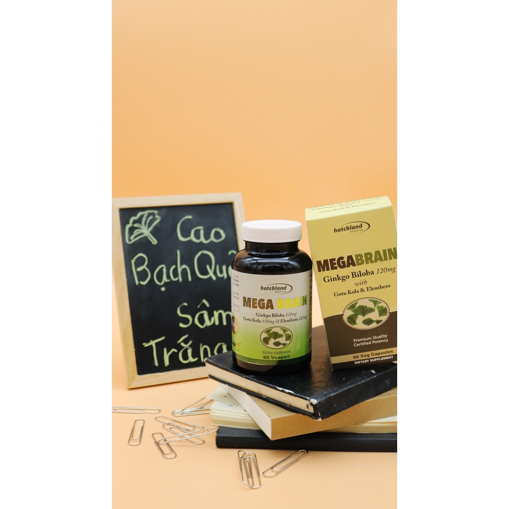 Viên uống bổ não MegaBrain ,thực phẩm bổ sung sức khỏe MegaBrain [hộp ...
