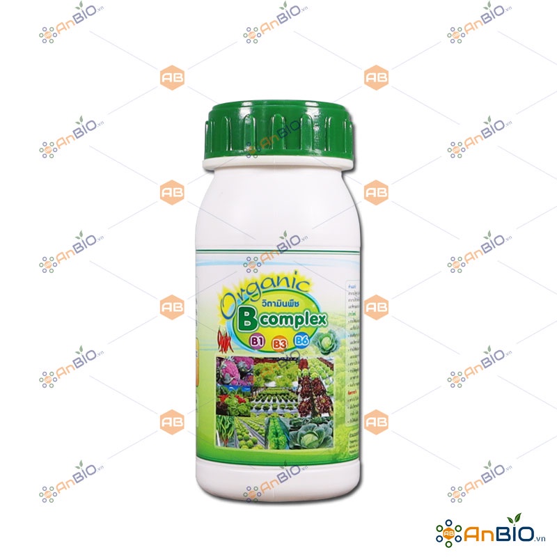 Vitamin B1–36 ORGANIC B COMPLEX - B1 Thái Lan - chai 500ml CHUYÊN DÙNG ...