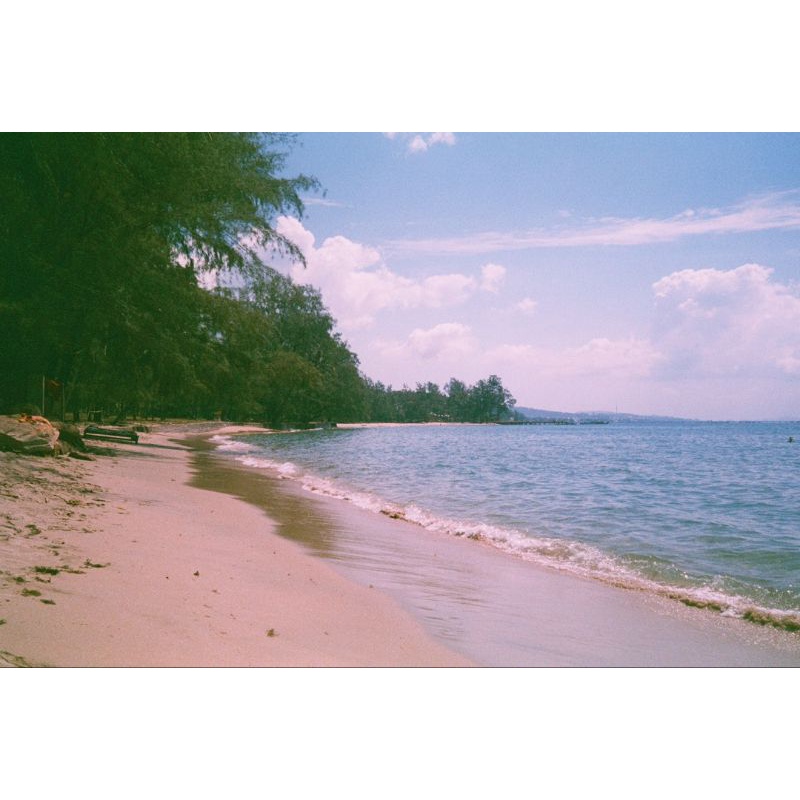 Film điện ảnh Kodak Vision 3 250D 5207 (không hỗ trợ máy PnS)_mã 201 ...