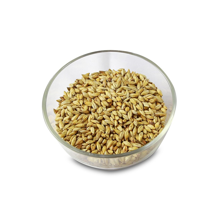 Malt nấu bia Abbey Malt | Shopee Việt Nam