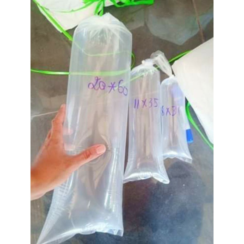BỊCH NYLON ĐÓNG CÁ KÍCH THƯỚC ( 8x31 ,11x35, 20x60 ) | Shopee Việt Nam