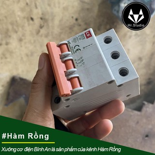 Aptomat 20A BKN C20 LS Hàn Quốc dạng cài 3 pha 380V | Shopee Việt Nam