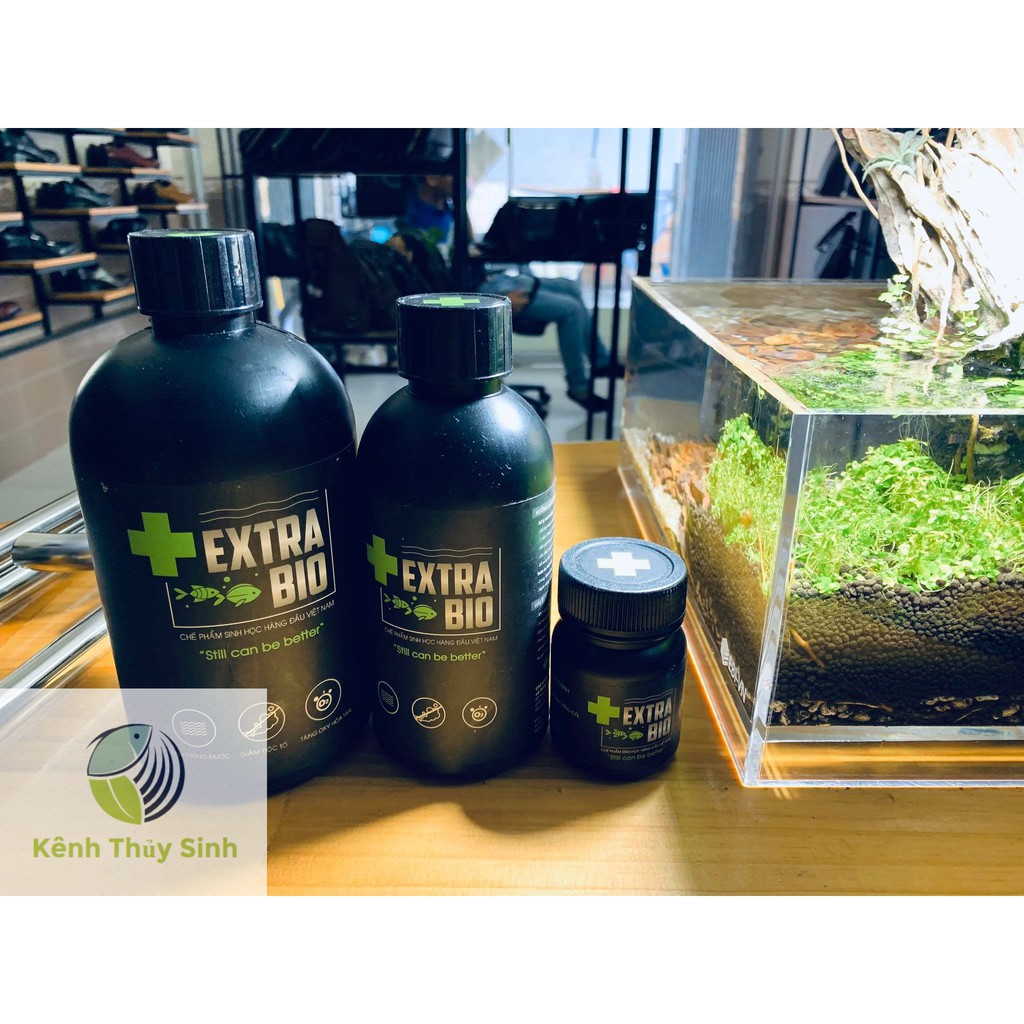 Vi sinh cao cấp làm trong nước Extra Bio 500ml/ 250ml ( hỗ trợ với bộ lọc làm trong nước siêu ...
