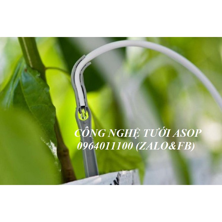 50 Que cắm tưới nhỏ giọt Snapeg Rivulis - israel | Shopee Việt Nam