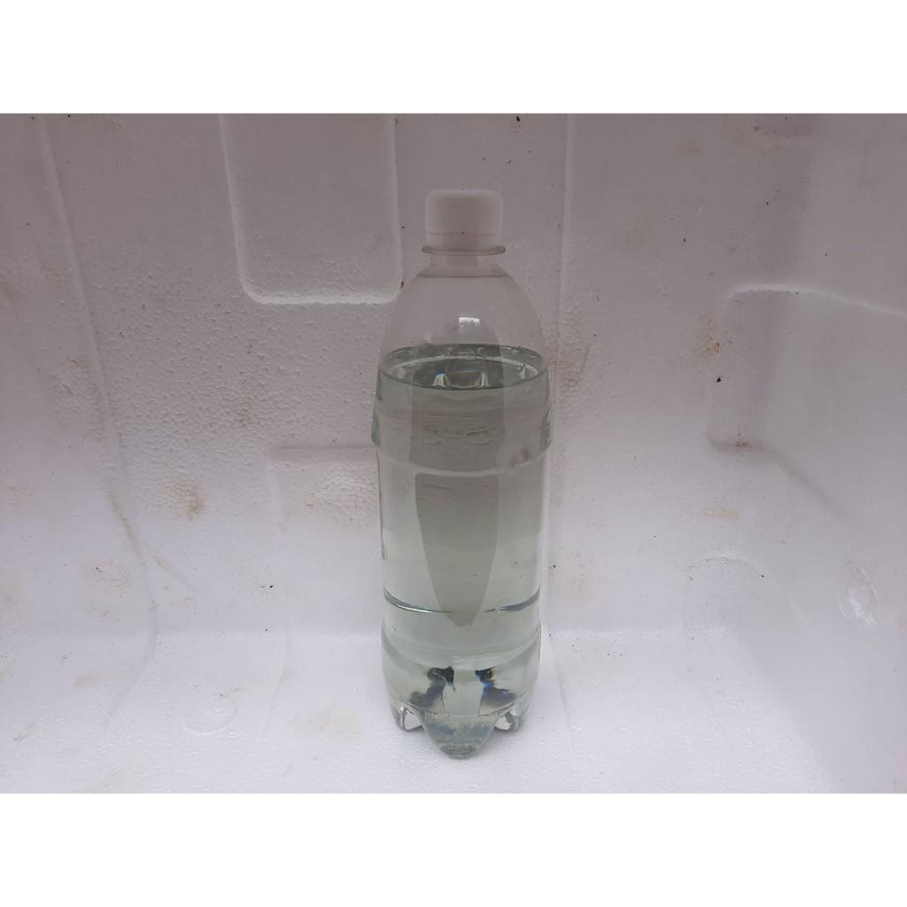 KEO POLY COMPOSITE TRONG SUỐT 1KG | Shopee Việt Nam