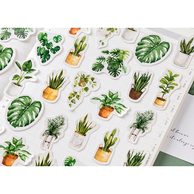 Sticker dán hình kiểng lá, phụ kiện dán kiểng lá, sticker dán in hình ...