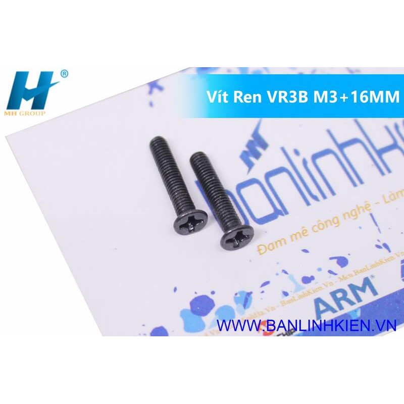 Bulong và đai ốc các loại Bulong ốc vít M3 Giá cho 10 chiếc | Shopee ...