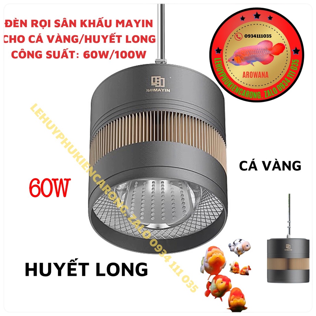 Đèn Rọi MAYIN Cho Huyết Long - Đèn Rọi Cho Cá Vàng Công Suất 60w 100w ...