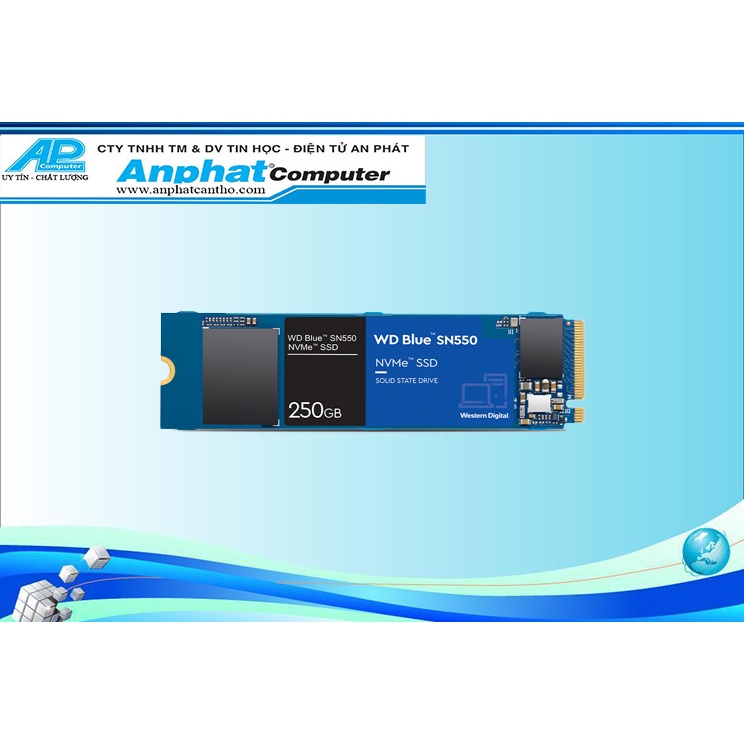 Ổ cứng SSD WD Blue SN550 250GB M.2 2280 NVMe Gen3 x4 - Bảo hành 5 năm | Shopee Việt Nam