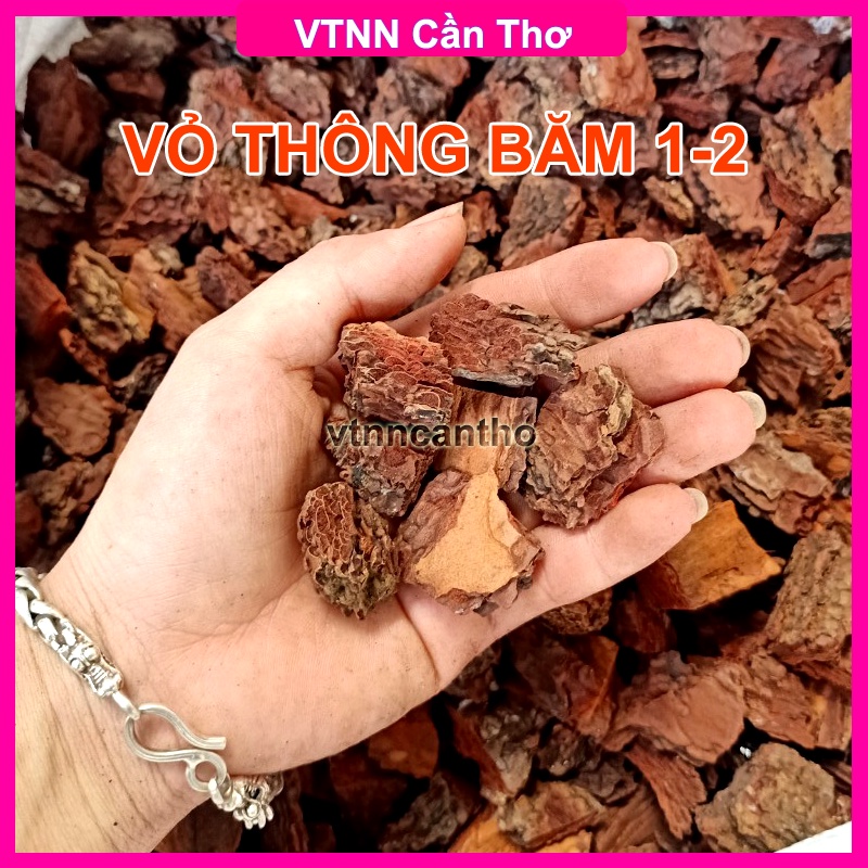 1kg Vỏ Thông Đỏ Trồng Lan (Size 1-2cm, Đã Xử Lý) - VTNN Cần Thơ | Shopee Việt Nam